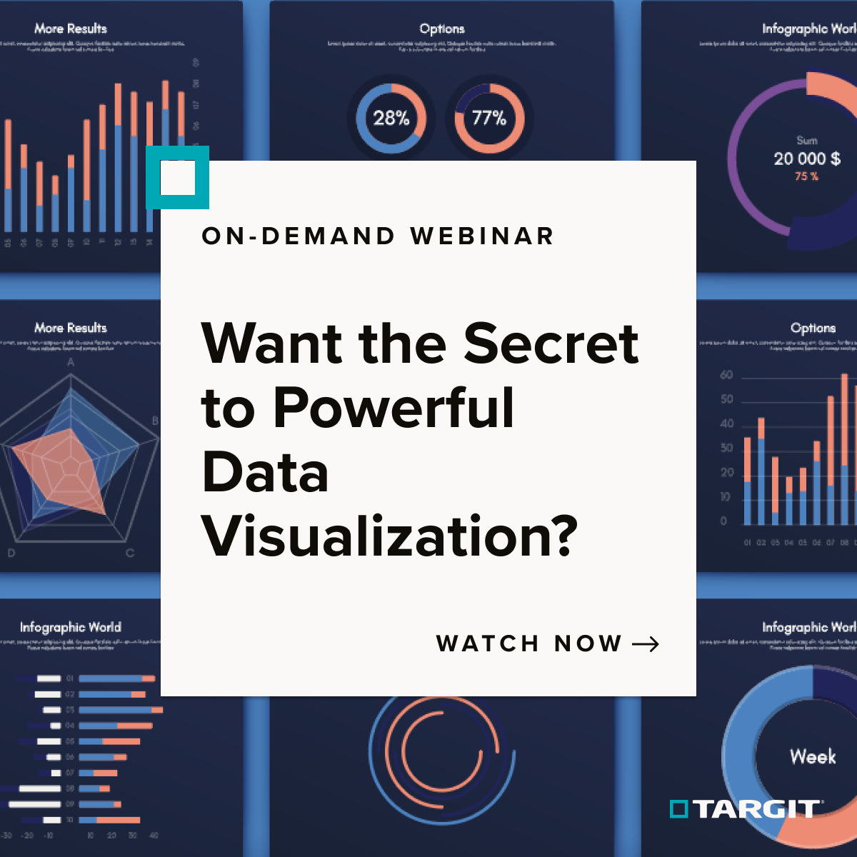Mastering Data Visualization with David Hollinsworth - TARGIT webinar
